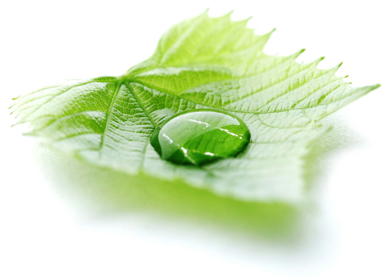 Our Ingredients - Unigen